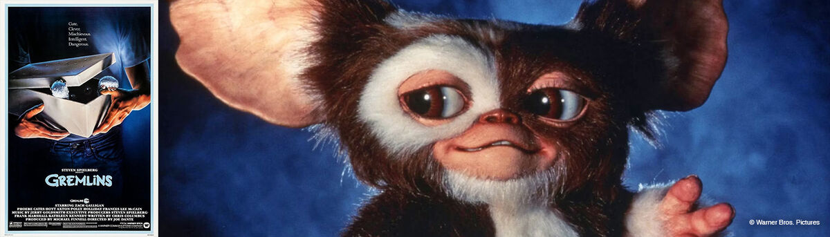 40 Jahre GREMLINS