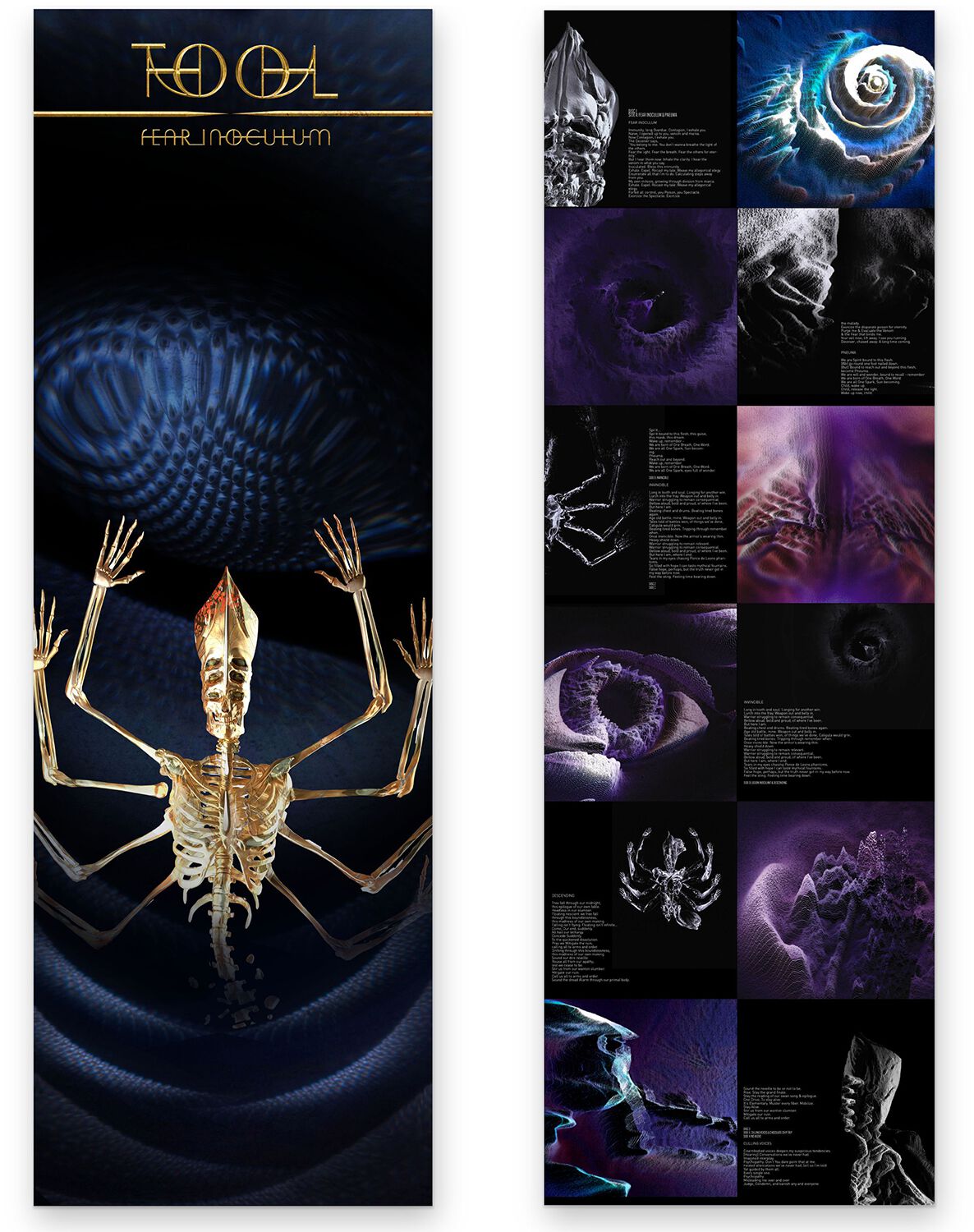 Fear inoculum | Tool LP | EMP