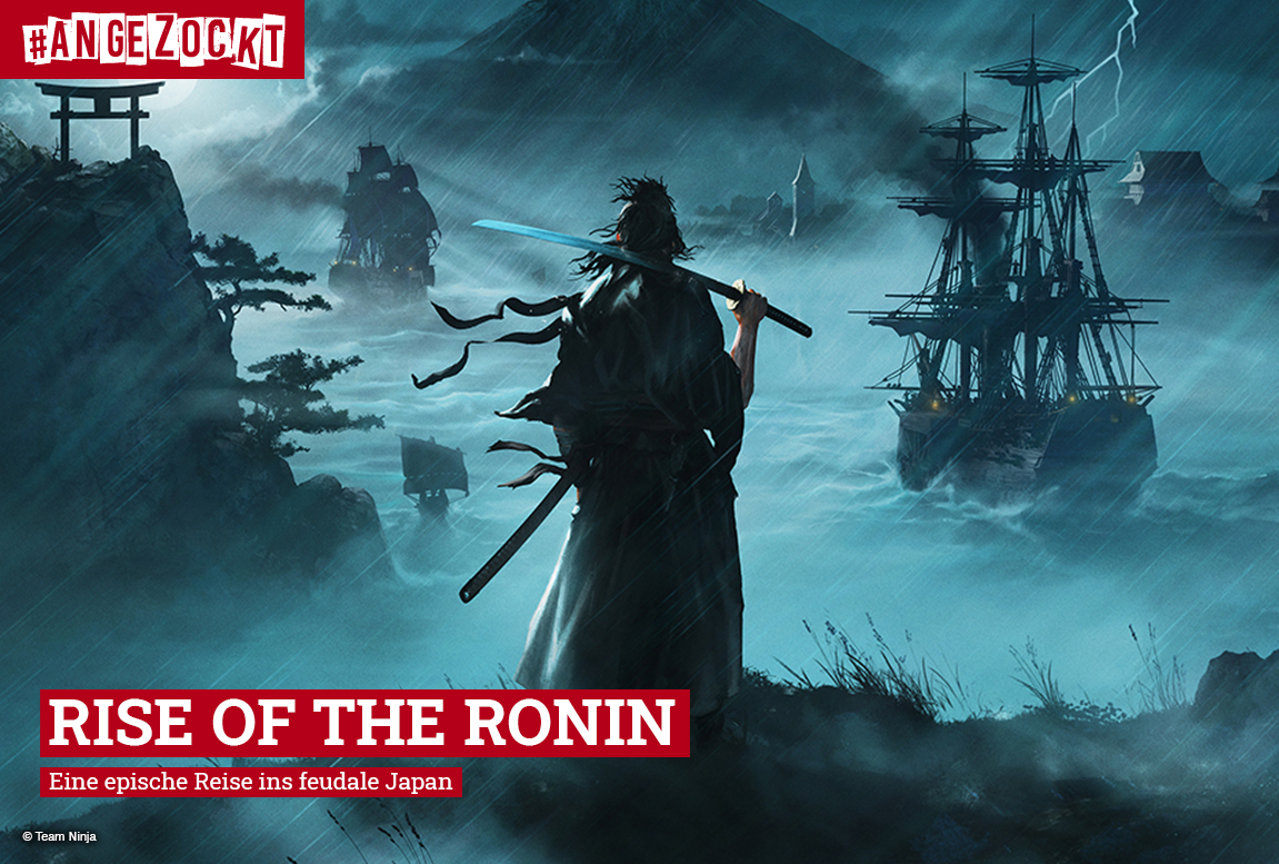 Rise of the Ronin